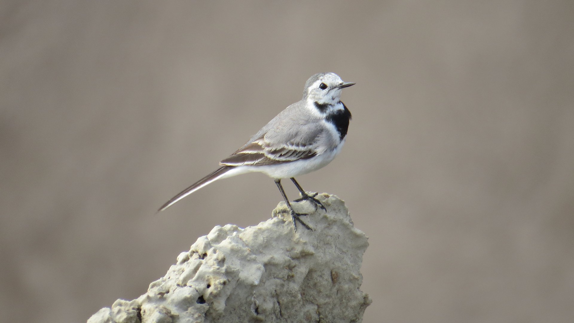 Новое открытие Тазовского полуострова. Экспедиция 2019  год. Часть 1
