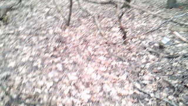 DSCF0004Ставрополь январь 2021Поездка на новогодние праздники.Парк Победы,новогодняя елка.