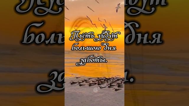 Добрый вечер!