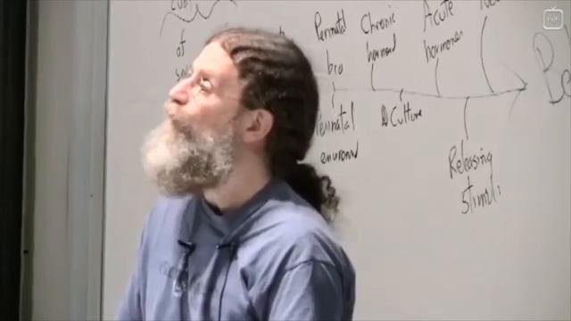 Биология поведения человека: Лекция #15. Сексуальное поведение, I