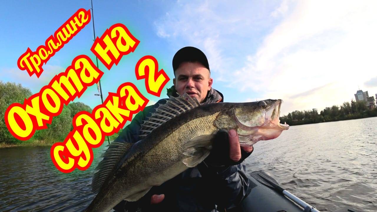 Троллинг. Такого не ожидали, ТРОФЕЙная щука в след за судаком