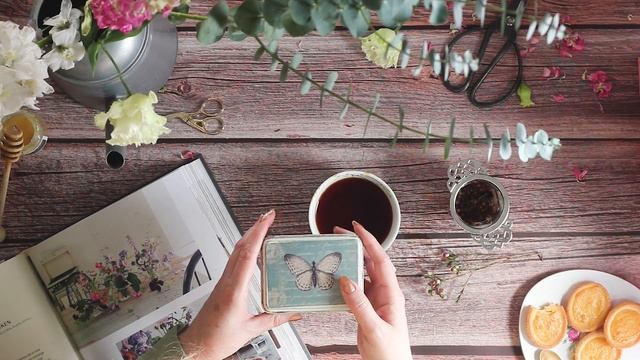 6822000-hd_1920_1080_25fps