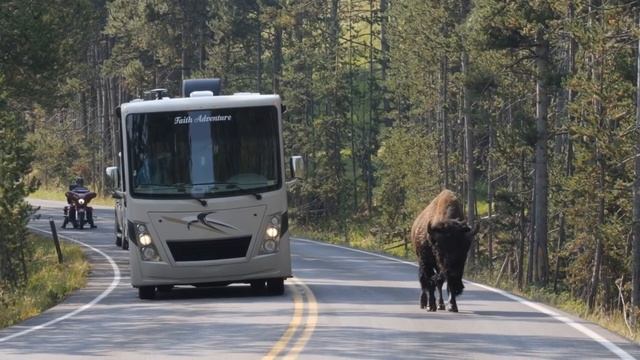 Станислав Шакиров. Автобус вашка шочмо ялыш. Текст песни