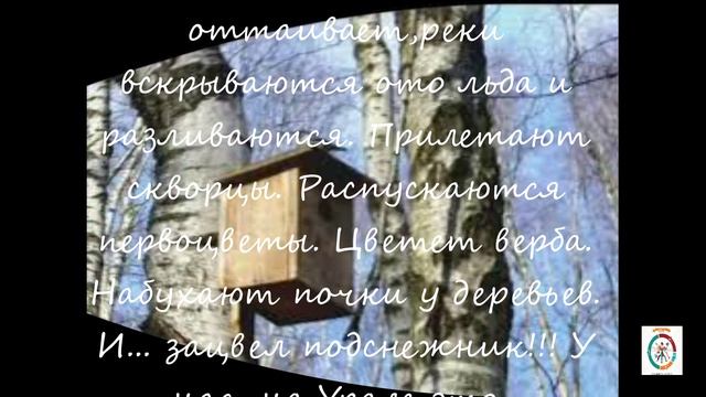 Ф.Шопен. Вальс №14