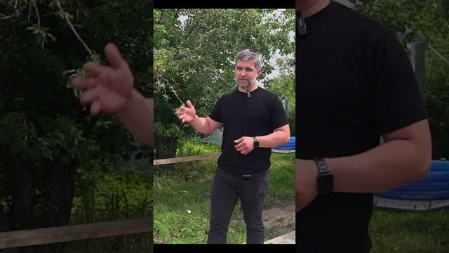 Что такое станция глубокой очистки в загородном доме: стоимость, монтаж, обслуживание