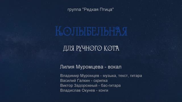 Колыбельная для ручного кота