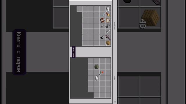 SVID_20241009_103951_1.mp4