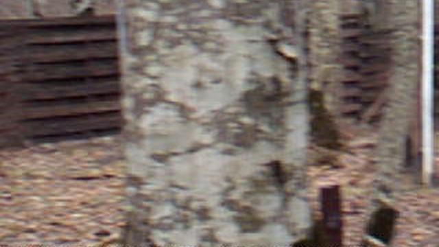 DSCF0003Ставрополь январь 2021Поездка на новогодние праздники.Парк Победы,новогодняя елка.