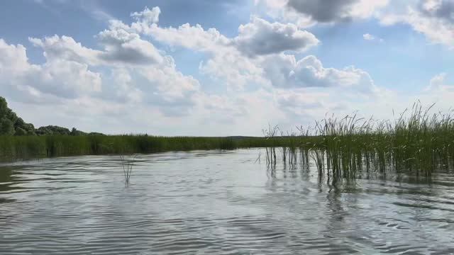 Прогулка на лодке Озеро Плещеево, Ярославская область.