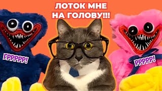 ЕСЛИ БЫ КОТИКИ ХОДИЛИ В ШКОЛУ - КИССИ МИССИ И ХАГГИ ВАГГИ, УЧИТЕЛЬСКАЯ (@kotiynet)