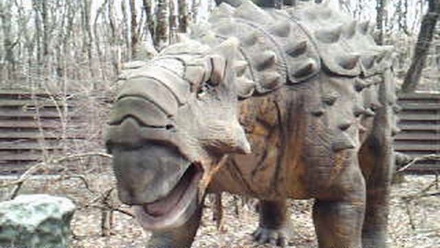 DSCF0018Ставрополь январь 2021Поездка на новогодние праздники.Парк Победы,новогодняя елка.