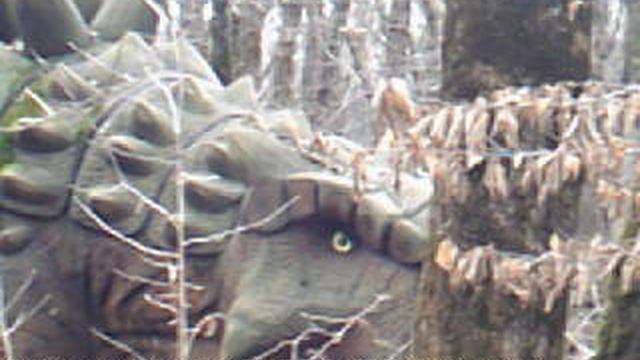 DSCF0017Ставрополь январь 2021Поездка на новогодние праздники.Парк Победы,новогодняя елка.