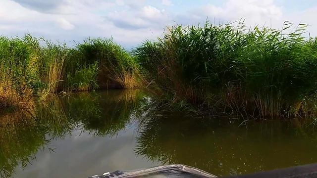 Алтайский край:  Озеро Саввушки,  Мостовое,  река Таловка, Барнаулка.  Родные, любимые места.