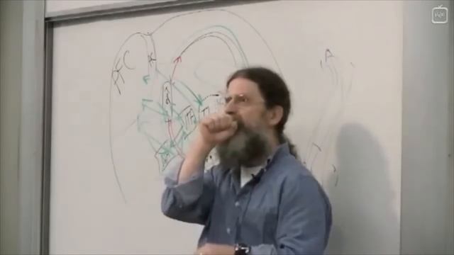 Биология поведения человека: Лекция #14. Лимбическая система