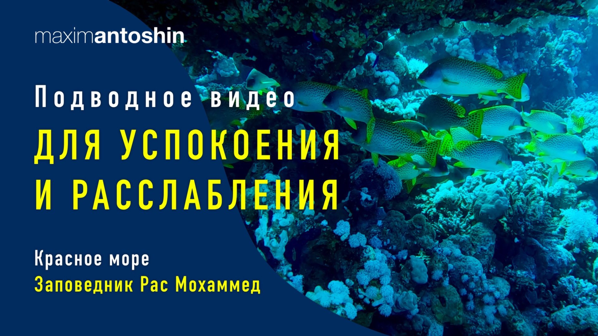 Подводное видео для успокоения и расслабления. Дайвинг в заповеднике Рас Мохаммед. Красное море