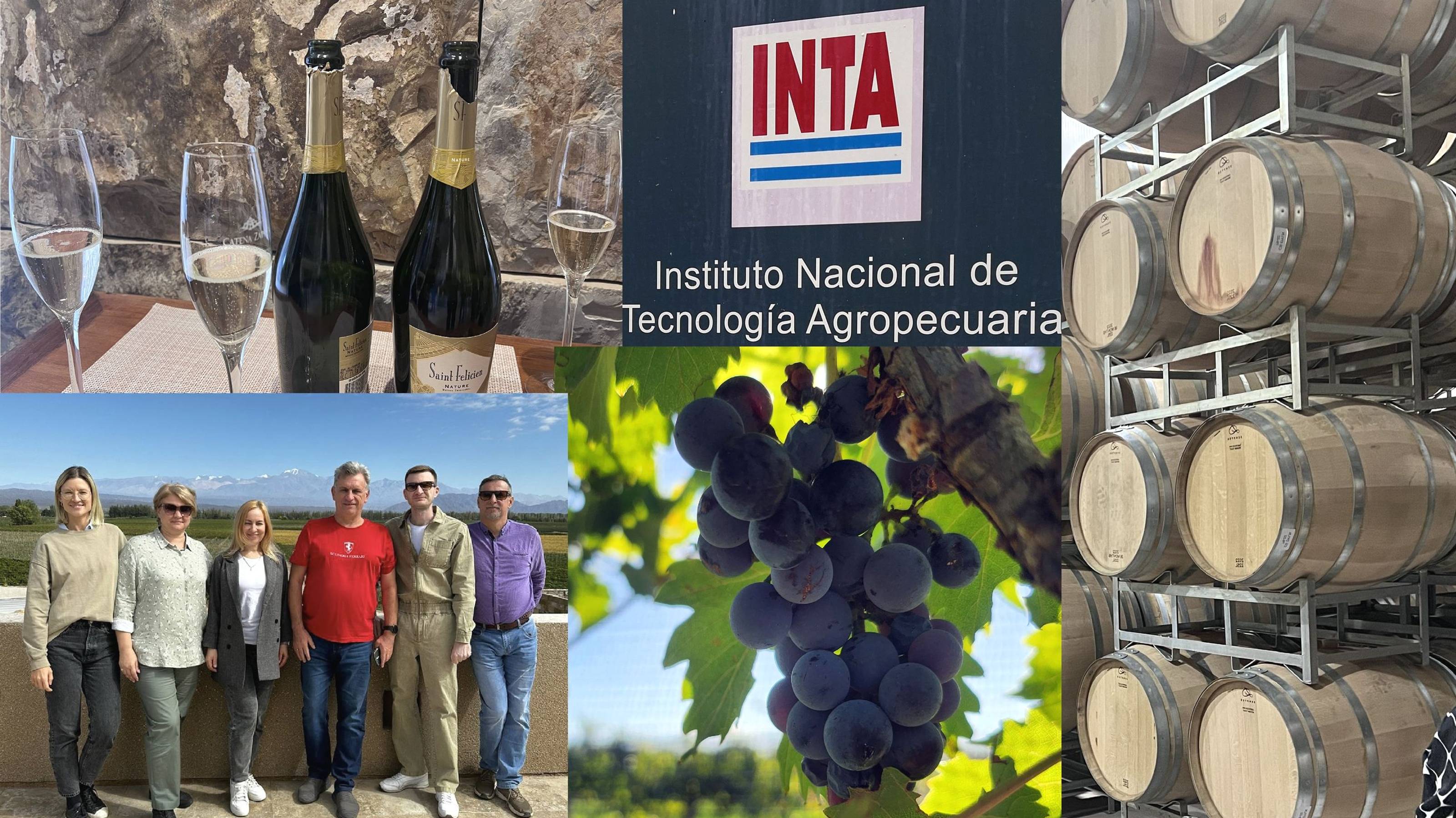 Виноделие в Аргентине - Провинция Мендоса - INTA Rama Caida - Март 2023г. Vinos