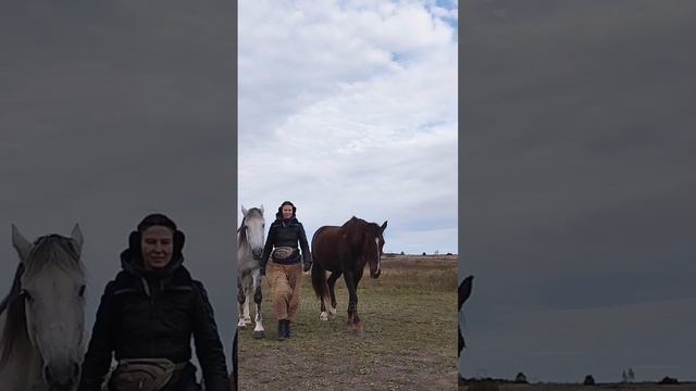 Похолодало