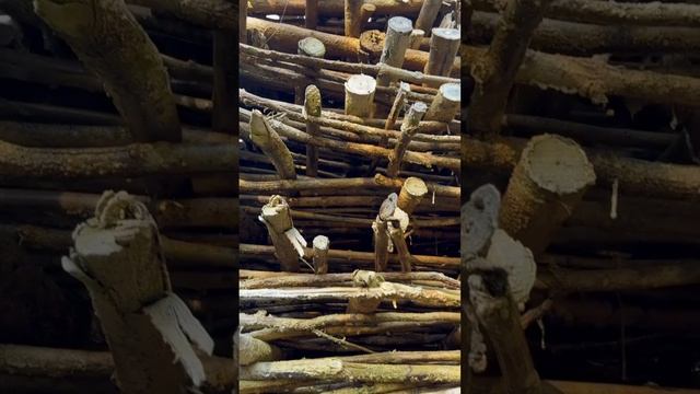 Аквааэрарий