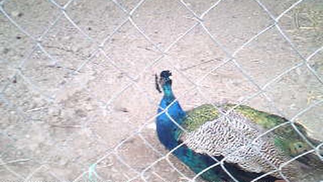 DSCF0001ЗАМОК ШАТО ЭРКЕН ЧЕГЕМСКИЕ ВОДОПАДЫ СЕНТЯБРЬ 2021