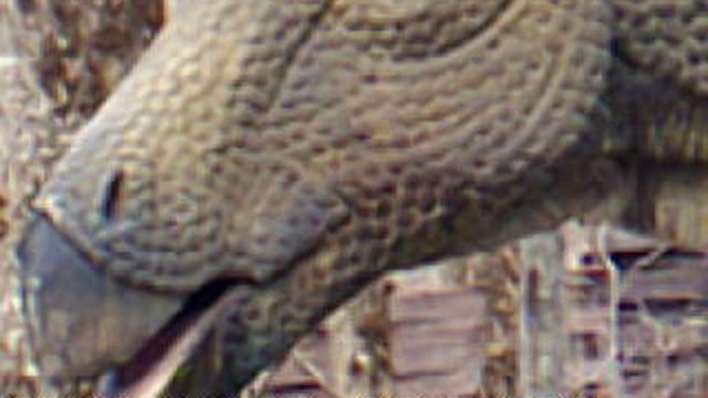 DSCF0005Ставрополь январь 2021Поездка на новогодние праздники.Парк Победы,новогодняя елка.