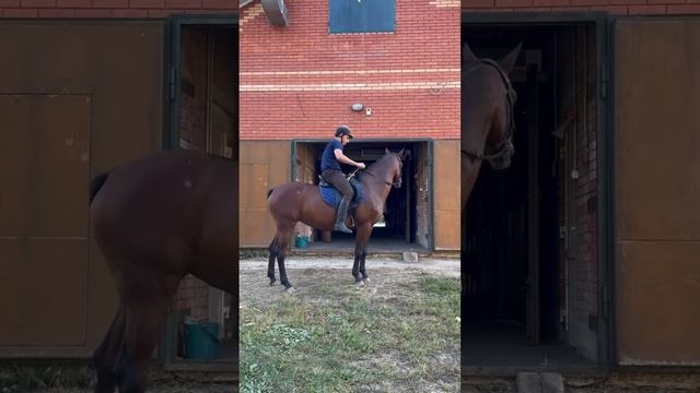 Конно-спортивный клуб Ундоры