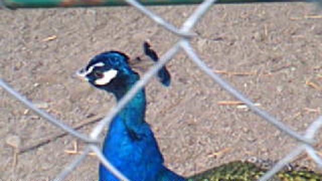 DSCF0002ЗАМОК ШАТО ЭРКЕН ЧЕГЕМСКИЕ ВОДОПАДЫ СЕНТЯБРЬ 2021