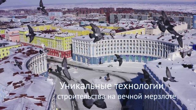 Ролик о российской Арктике - уникальной жизни под созвездием Большой Медведицы. 2022