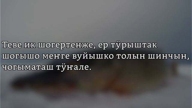 Аудиотекст на марийском языке. Елизар Янгильдин. Ваке тӱрыштӧ