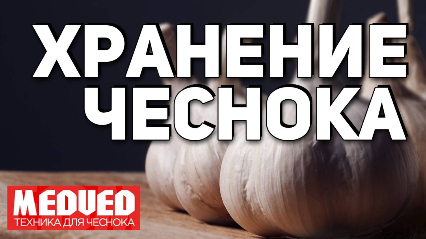 Хранение чеснока