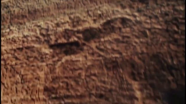 Новые факты о Древнем Египте, о которых приятно молчать