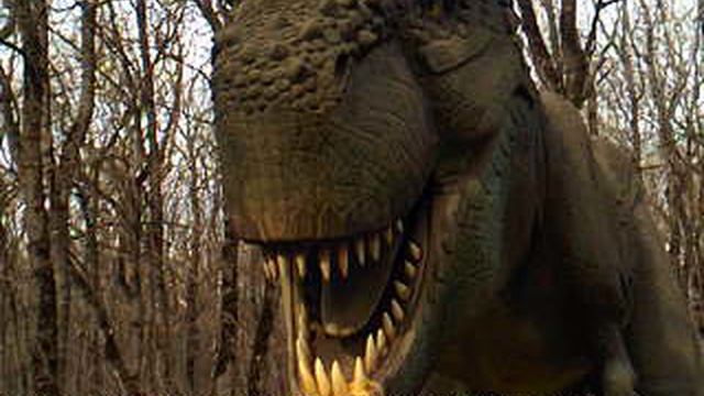 DSCF0006Ставрополь январь 2021Поездка на новогодние праздники.Парк Победы,новогодняя елка.