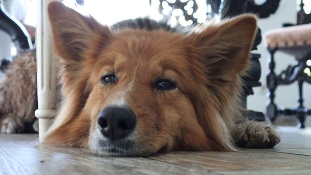 «Мы в ответе…» с Владимиром Самсоновым