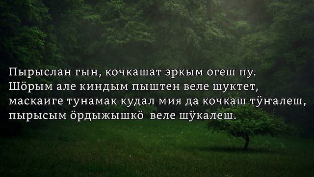 Аудиотекст на марийском языке. Елизар Янгильдин. Маскаиге