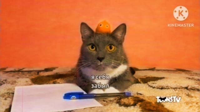 Вырезанный Фрагмент Из Котинет (02.08.2024)