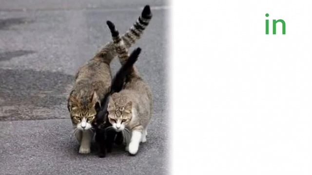 Предлоги места in, at и on (Prepositions of place).