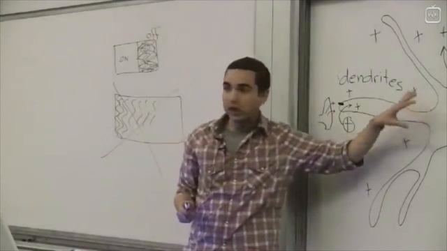 Биология поведения человека: Лекция #10. Введение в нейронауки, I