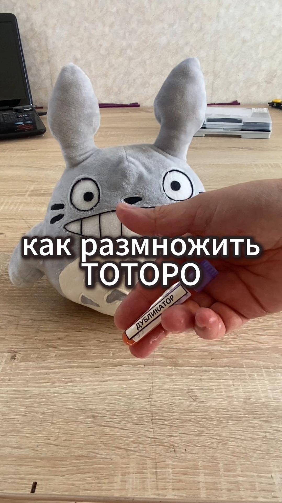 размножаю Тоторо