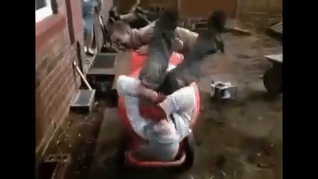 Пятница роднулька