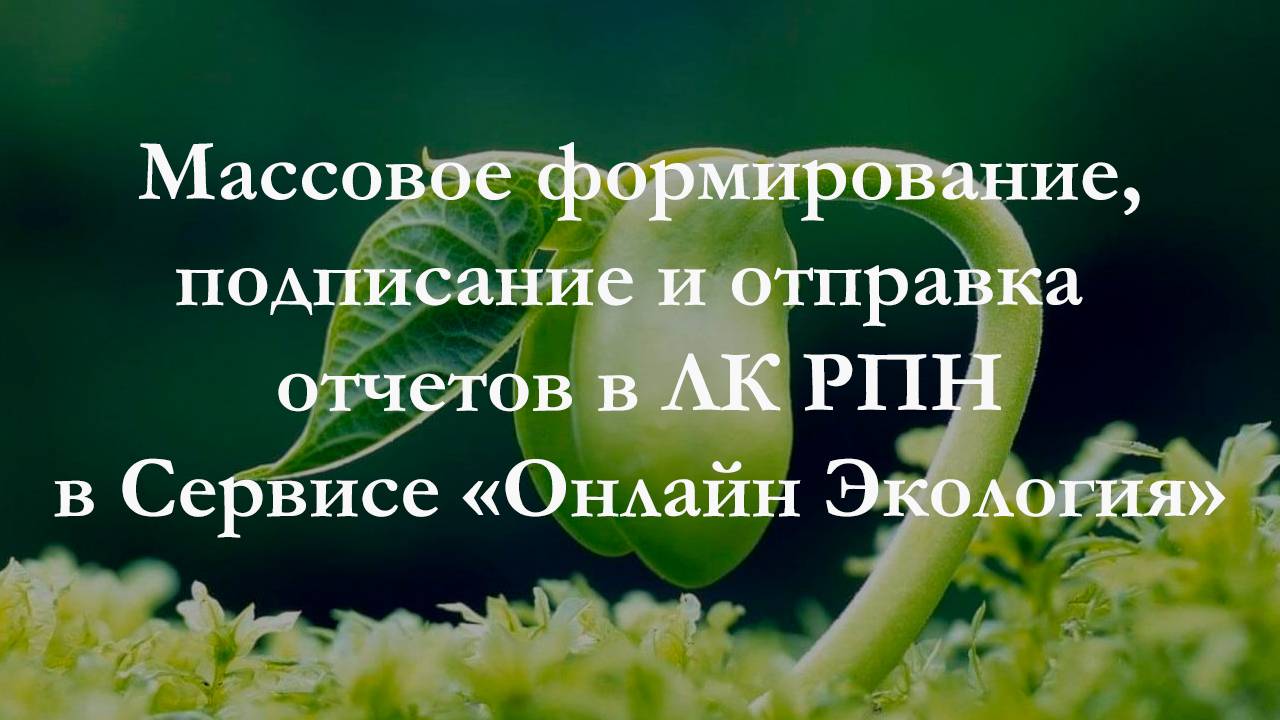 Массовое формирование, подписание и отправка отчетов в ЛК РПН в Сервисе "Онлайн Экология"
