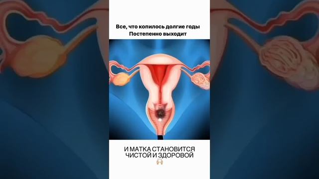 как работает тампон оздоровления