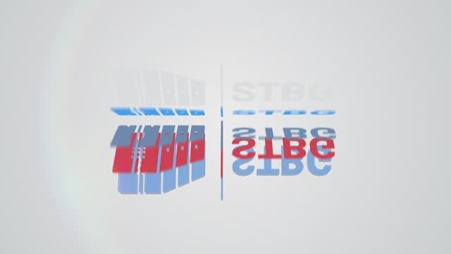 Логотип компании //  STBG Logo - TransRussia 2024