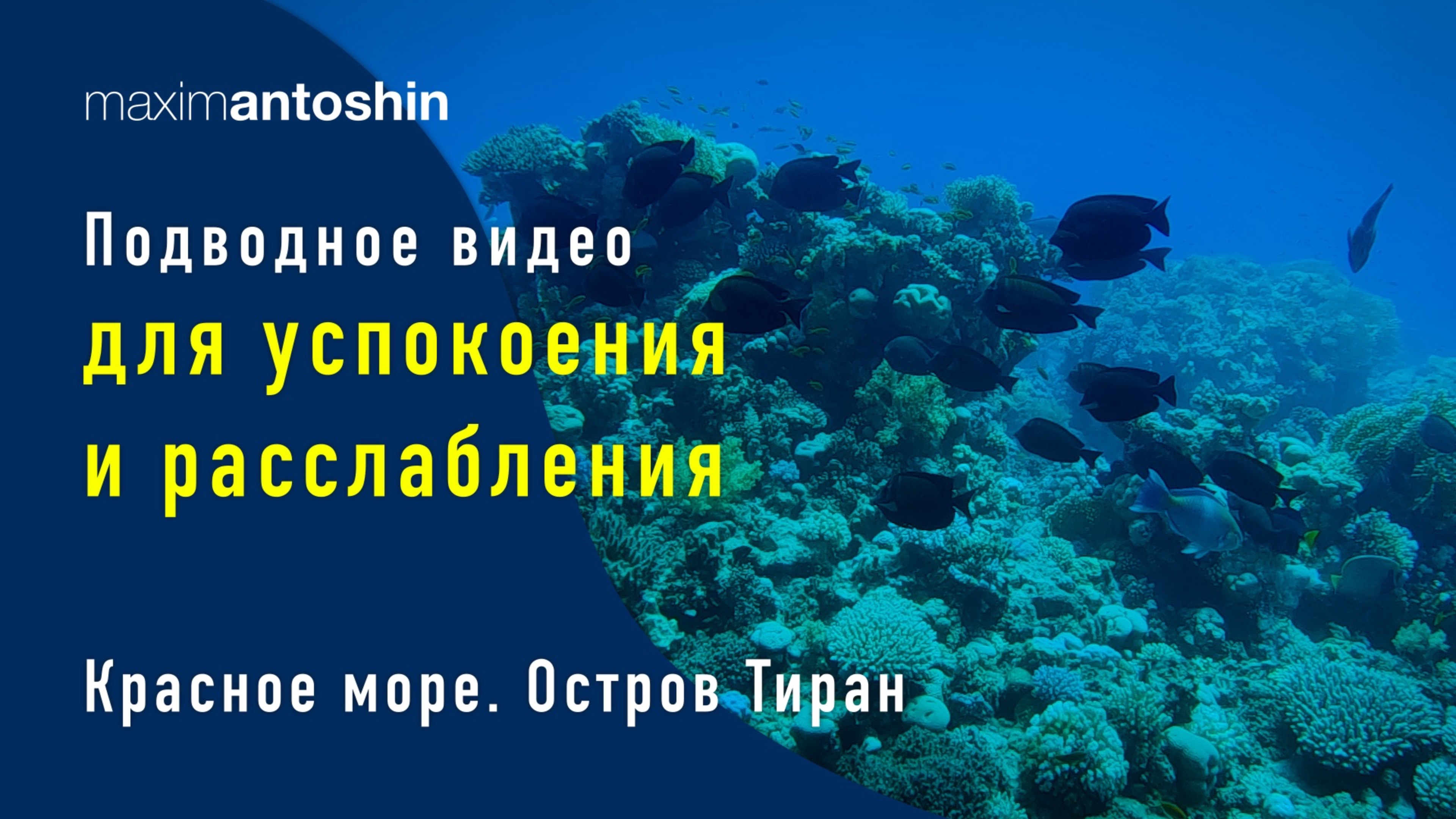 Подводное видео для успокоения и расслабления. Красное море. Остров Тиран. 2024