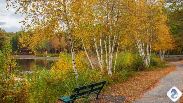 #НаКовреИзЖелтыхЛистьев#Видеоklass#ЖаннаДаценко#ЖизньПрекрасна#КрасавицаОсень#ОсенниеЗарисовки#Видео