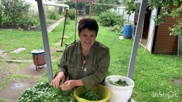 Непогода/Розовое масло/ Зеленая заготовка/Влог/