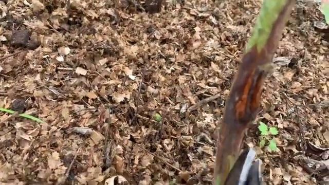 Что задумала, то сделала✊