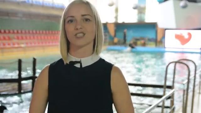 Отзыв  о полиграфии ЦМИК от Ярославского Дельфинария