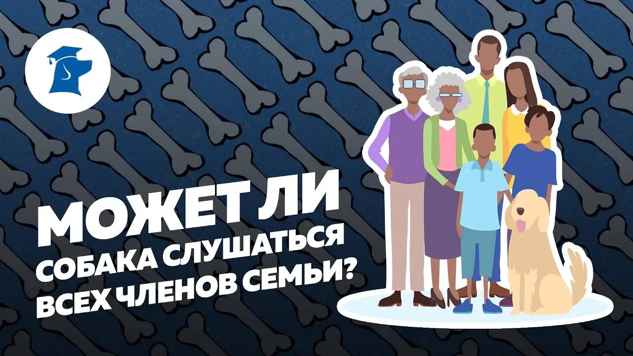 Семья заводит собаку. Может ли собака слушаться всех членов семьи?