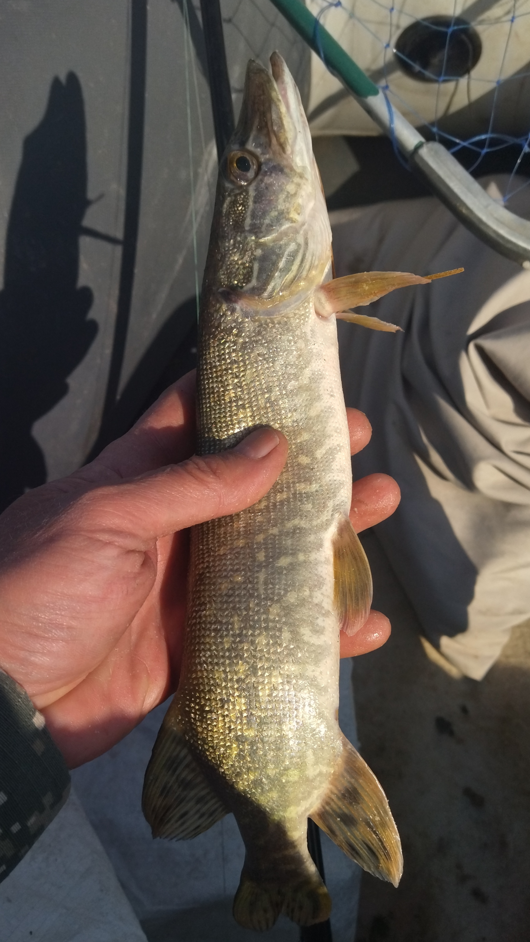 Рыбакам посвящается...