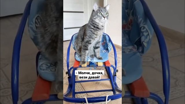 Анекдоты