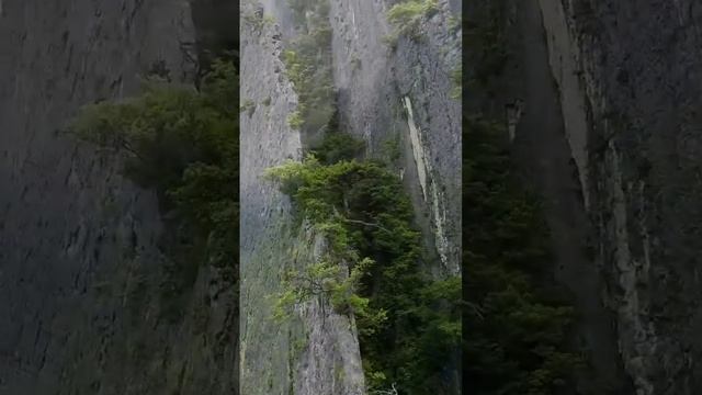 Удивительно красивая природа!